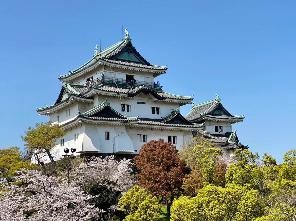 Wacky Things in Wakayama City, Japan! – BACKPACKING ADVENTURES